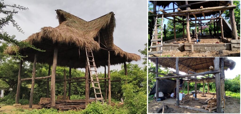 The Project 2023 - Palapa